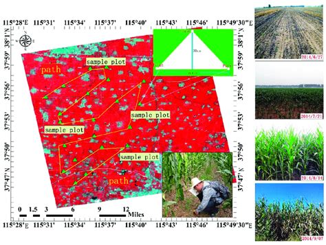 Experimental Path Sampling Strategy And Representative Field Photos