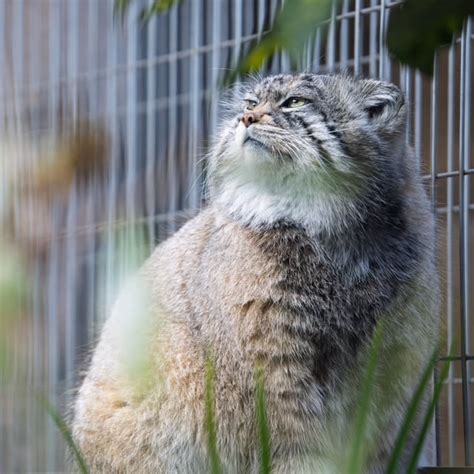 みょんさん Myonnmyonn • Instagram Photos And Videos