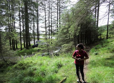 Craig Y Pistyll Gorge And Llyn Syfydrin Rachel Seabrook