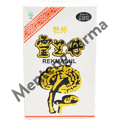 Rekmasul Lin Chee Tan Obat Rematik Sakit Pinggang Pegal Linu Apotek