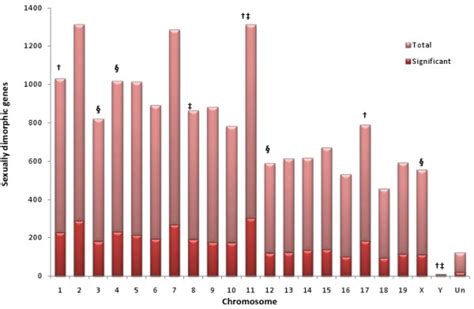 Chromosomal Enrichment Analysis Shows Sex Specific Differences Bar