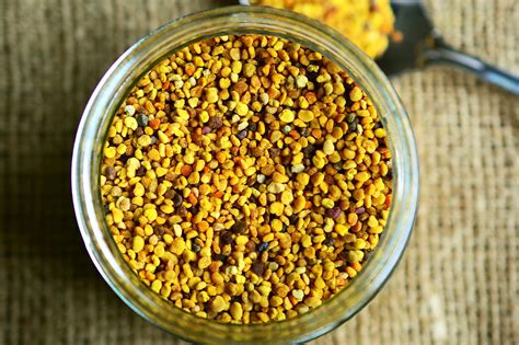 Bee Pollen Uses And Benefits Farm Flavor