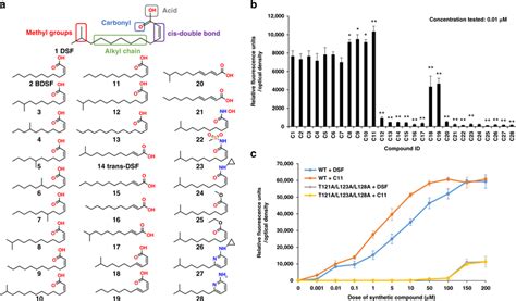 Diffusible Signal Factor Dsf Analog Testing Reveals Features Needed