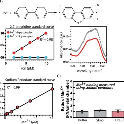 Detailed Characteristics Of Metal Binding Dyes A Chemical Structure Of