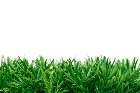 8 Common Uses For Artificial Grass Products Artificial Grass Recyclers