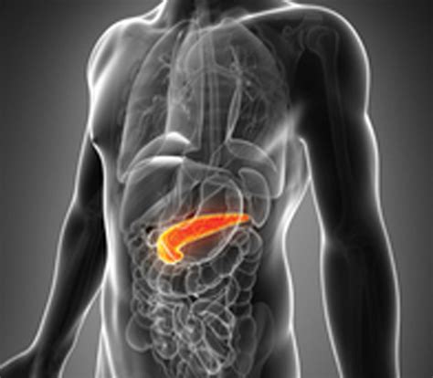 Tissue Engineered Bovine Pericardium Patch Synkroscaff