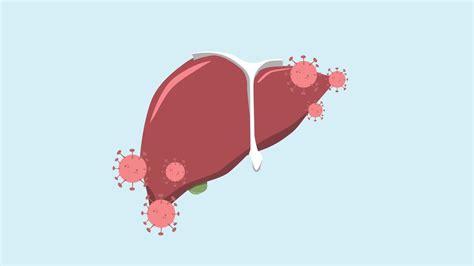 Hepatitis Vector Art Icons And Graphics For Free Download