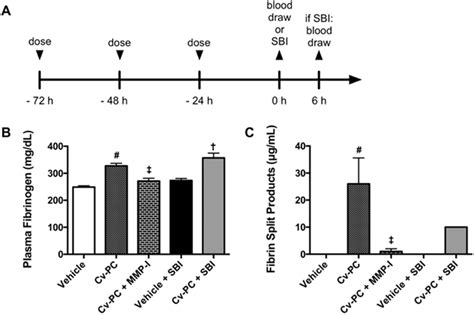 Cv Pc Increases Plasma Fibrinogen And Generates Fibrin Split Products Download Scientific