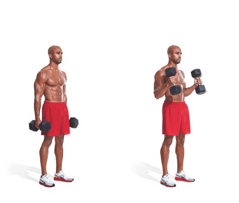 Build Thicker Arms With These Two Bicep Exercises Mens Fitness