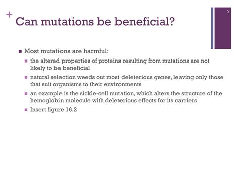 Ppt Chapter 16 Population Genetics And Evolution Powerpoint