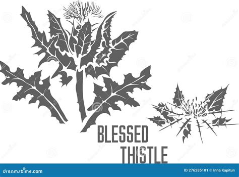 Thistle Vector Flat Style Colorful Cartoon Illustration
