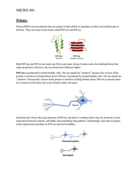 Prions And Diseases Ppt