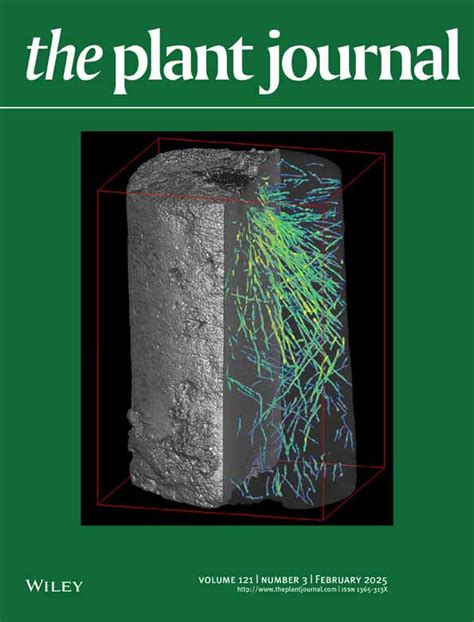 Ospub9 Modulates Leaf Angle And Grain Size Through The Brassinosteroid