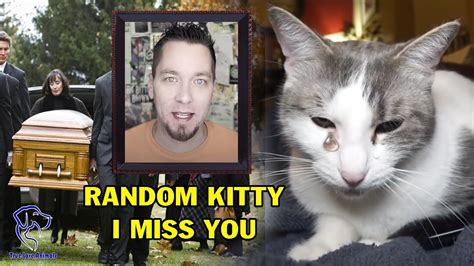 How Did Gibson The Cat Die Benefits Of Being A Cat Lover Healthycats