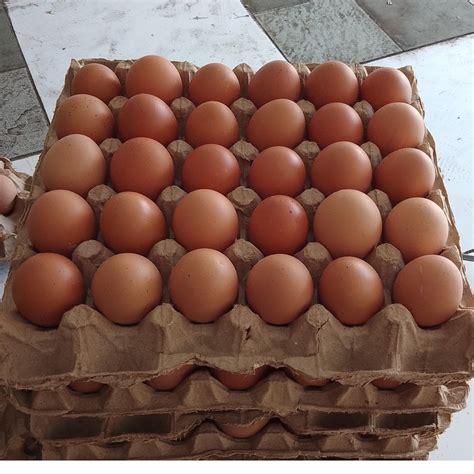 Jual Telur Ayam Negeri Segar 30 Butir 1 Tray Telor Ayam Premium Shopee Indonesia