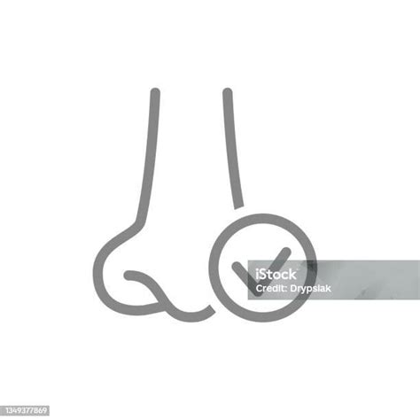 진드기 체크 마크 라인 아이콘인간의 코 건강한 냄새 후각 시스템 기호 0명에 대한 스톡 벡터 아트 및 기타 이미지 0명 감각 지각 건강 진단 Istock