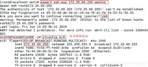 Linux学习笔记 Shell中的expect自动应答语句linux Shell 应答式 Csdn博客