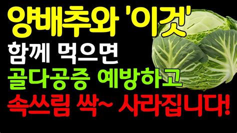 양배추와 함께 먹으면 보약되는 음식 3가지와 특급 레시피 뼈건강 지키고 위염 위궤양 속쓰림까지 싹 낫습니다 값비싼 영양제