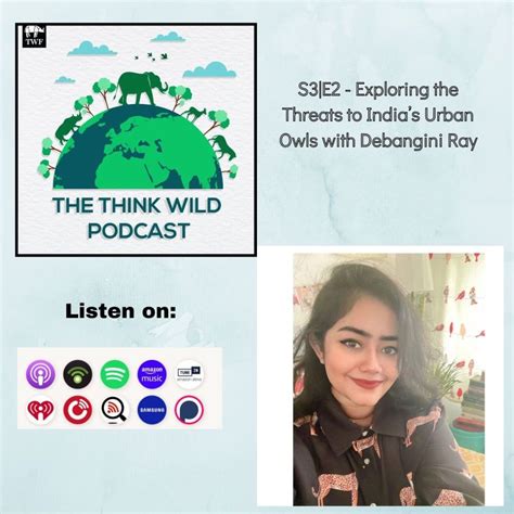 Owls Are Amongst The Most Ecologically And Culturally Important Group