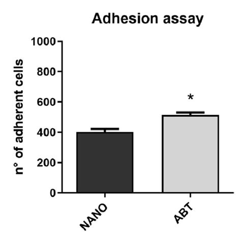 Cell Adhesion Was Evaluated On All Samples At 12 Min The Level Of Cell