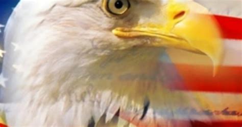 Freedom Eagle Imgur