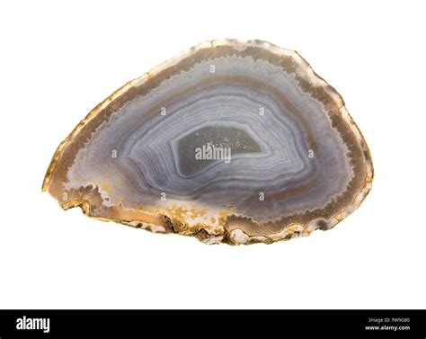 slice of unpolished agate a quartz variety of silicon dioxide sio2