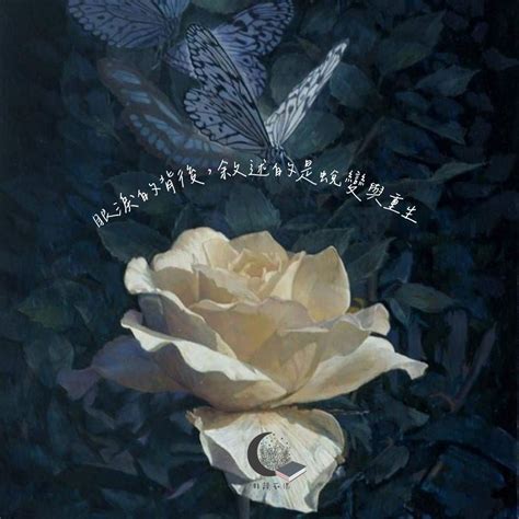 非讀不渴 遭受「女性割禮」的沙漠之花 著名的《沙漠之花》一書作者，華麗絲迪里，出生在索馬利亞的游牧部落。 5歲時她被施以「女性割禮」。 所謂的女性割禮使用的工具常常是骯髒或生鏽的刀子、石頭