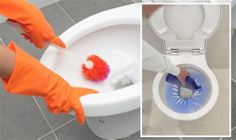 What To Use To Clean Stained Toilet At Callum Balmain Blog