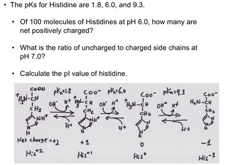 Solved The Pkas For Histidine Are 18 60 93 ﻿of 100