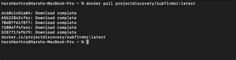 How To Run Nuclei And Other Projectdiscovery Tools In Docker