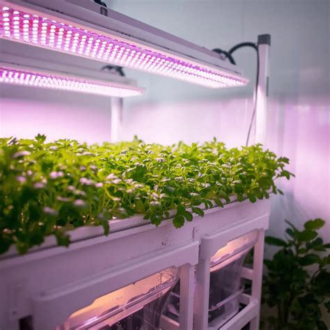 10 Benefits Of Hydroponics Smarter And Sustainable Farming