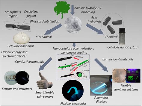 Frontiers Current State Of Applications Of Nanocellulose In Flexible