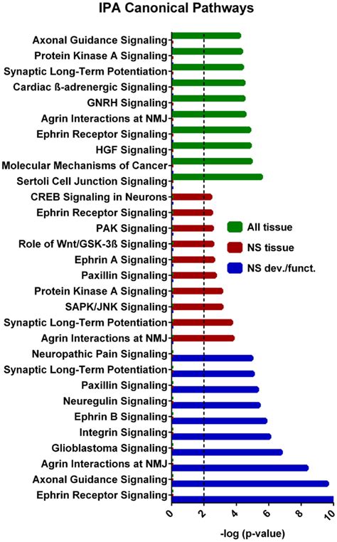 Ipa Canonical Pathway Analyses From Each Tier Of Core Analysis The X Download Scientific