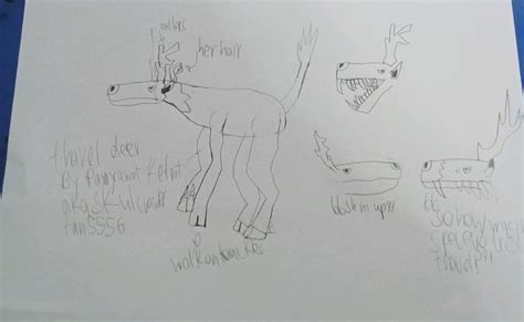 Spec Evo Miss Thavel Rfundamentalpaperedu