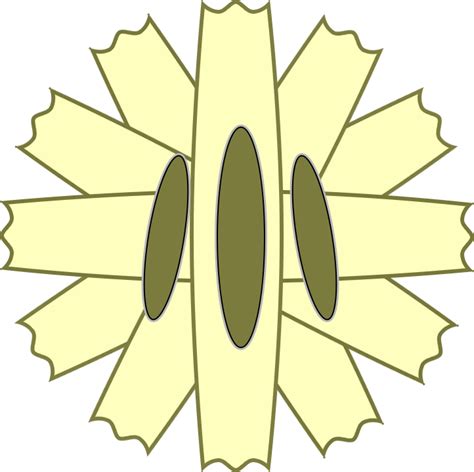 校章・校歌 東京学芸大学附属大泉小学校