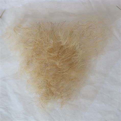 Merkin Pubic Wig Etsy Uk