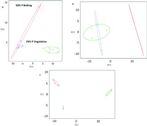 Root Exudate Compounds Diverge In Response To Plant Developmental Stage