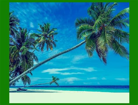 The Evolution Of Barcode Design Barcode Technology And Barcode Software Related