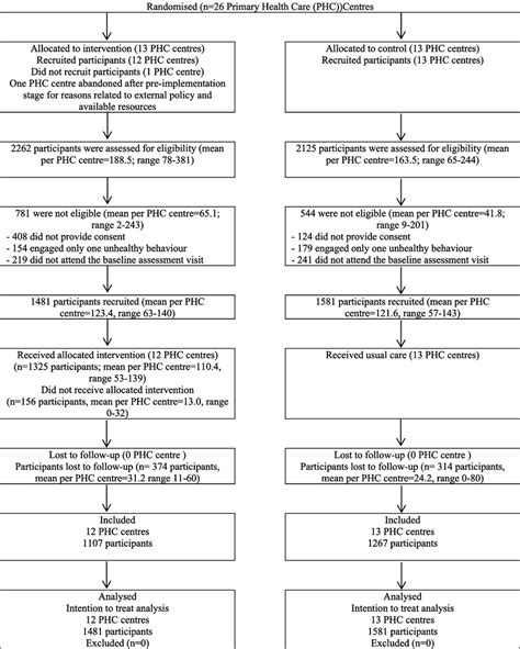 Flow Diagram Of Clusters And Participants Through Study Download Scientific Diagram