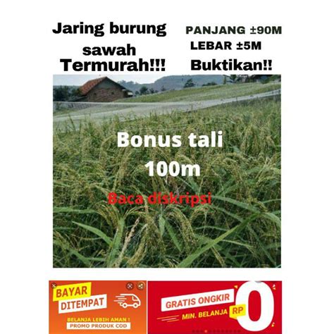 Jual Jaring Burung Kecil 2 Jaring Sawah Jaring Burung Pipit Shopee Indonesia