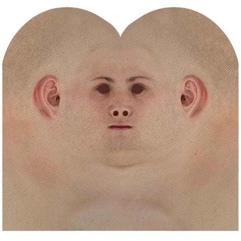 Male Head Texture Map 11