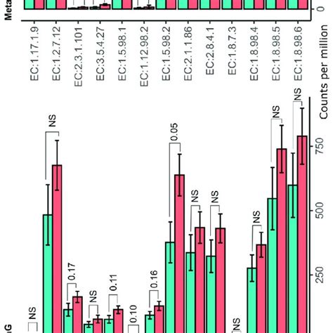 gene and transcript counts coding for the corresponding enzymes