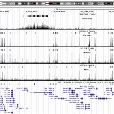 Visualization Of Chip Seq Data In The Ucsc Browser Allows One To Get A Download Scientific