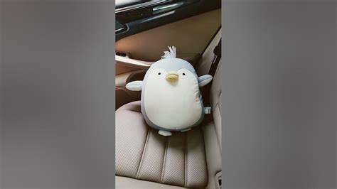 귀여운 팽귄인형 Youtube