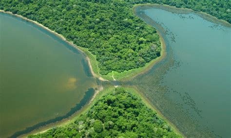 Pantanal Places Wwf