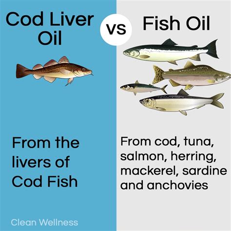 Cod Liver Oil Vs Fish Oil Clean Wellness Reveals The Difference