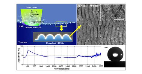 Rutile Tio2 Flocculent Ripples With High Antireflectivity And