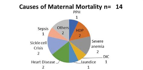 Causes Of Maternal Mortality Download Scientific Diagram