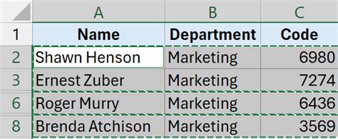 Copy Visible Cells Only In Excel