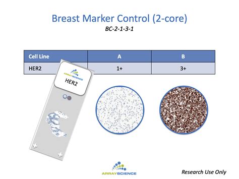 Cell Culture Microarrays Array Science Cell Culture Microarrays Array Science